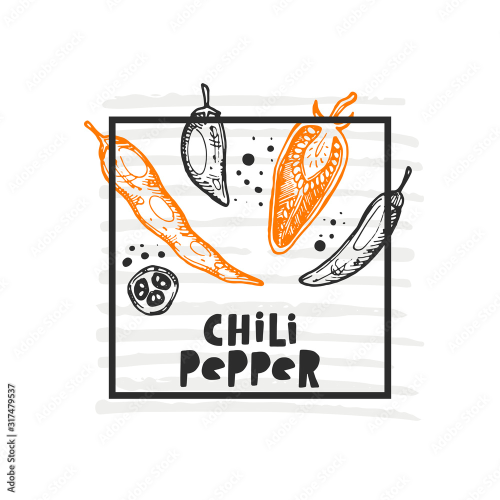 Chili pepper. Hand drawn realistic vector illustration. Organic ...