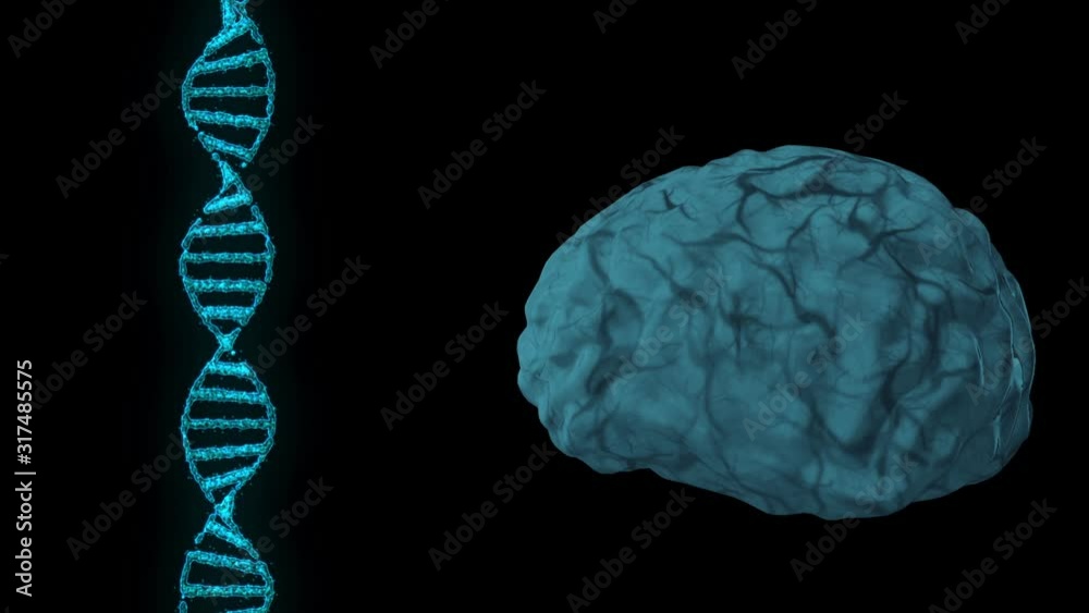 Simple 3D brain and DNA string animation on black background Stock 비디오 ...