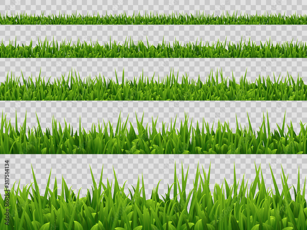 Vector green grass border collection isolated on transparent background ...