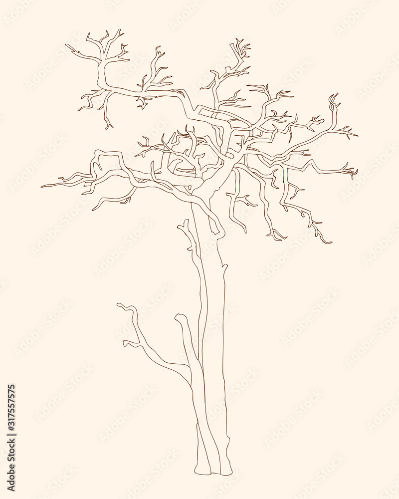 Old crooked tree without leaves black outline Stock Vector | Adobe Stock