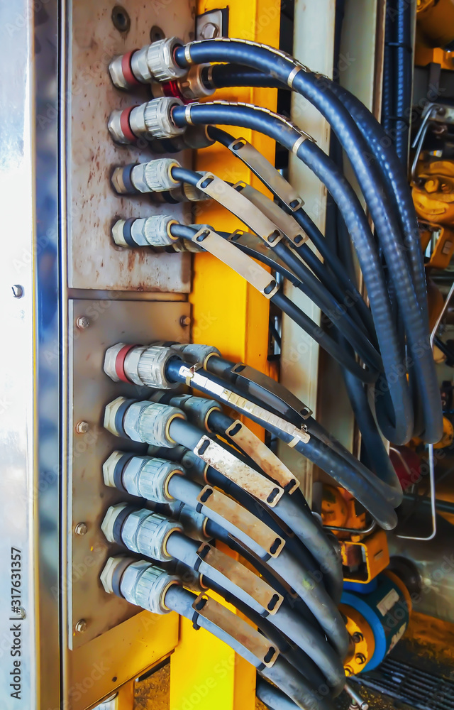 Electrical junction box with cable gland connection,.To separate wires ...