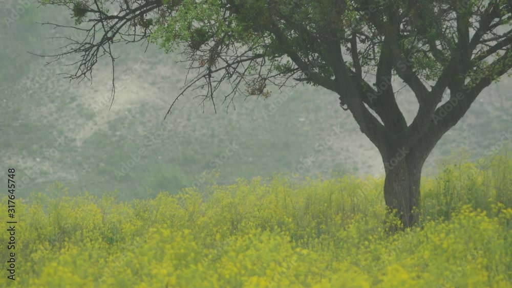 Extreme heavy rain. Extreme weather includes unexpected, unusual ...