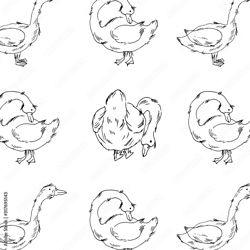 Cute geese in different poses. Line art. Vector illustration. Stock ...