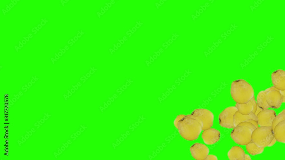 Lemons group falling transition animation green screen chroma key Stock ...