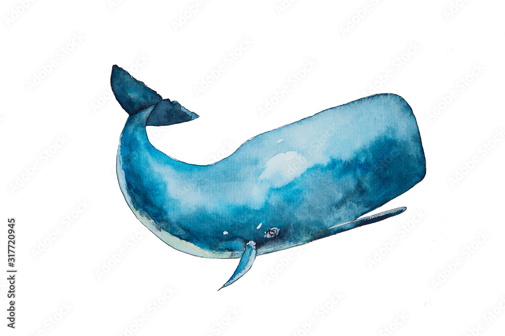 Watercolor drawing of blue cachalot isolated on white background ...