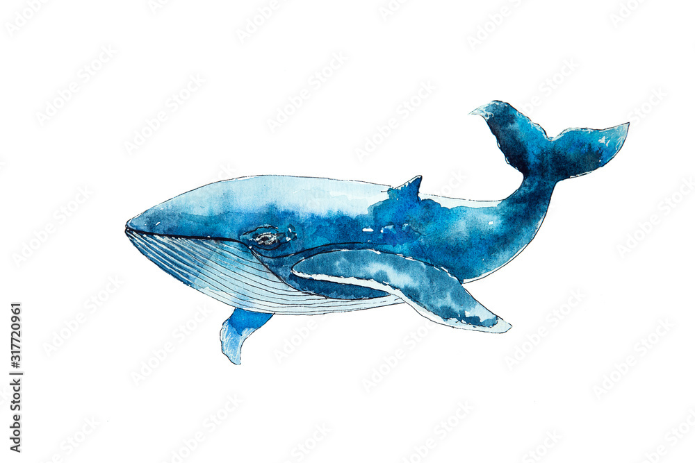Watercolor drawing of blue whale isolated on white background. Handmade ...