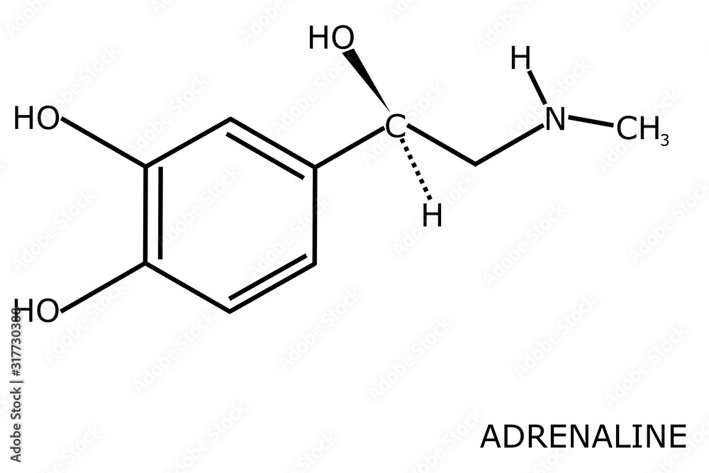 Adrenaline molecule structure with its name isolated on white ...