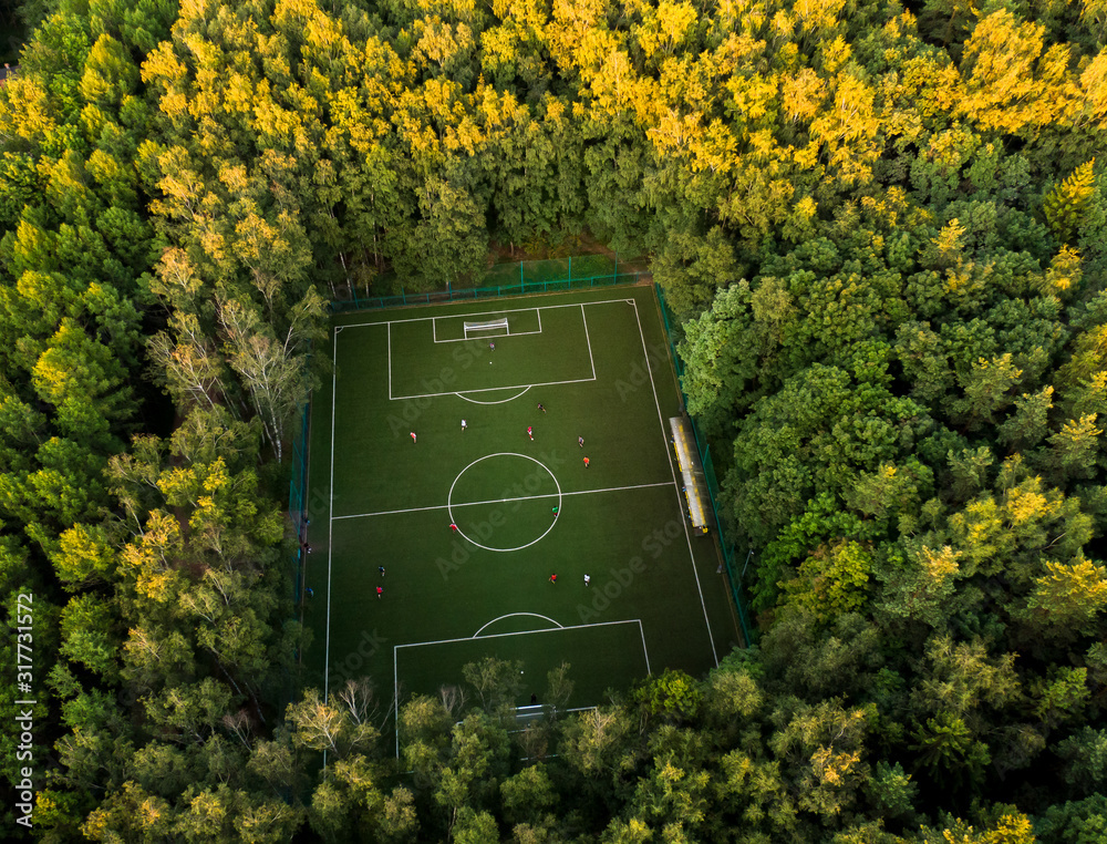 Aerial photography of a soccer field in the forest, tall trees around ...