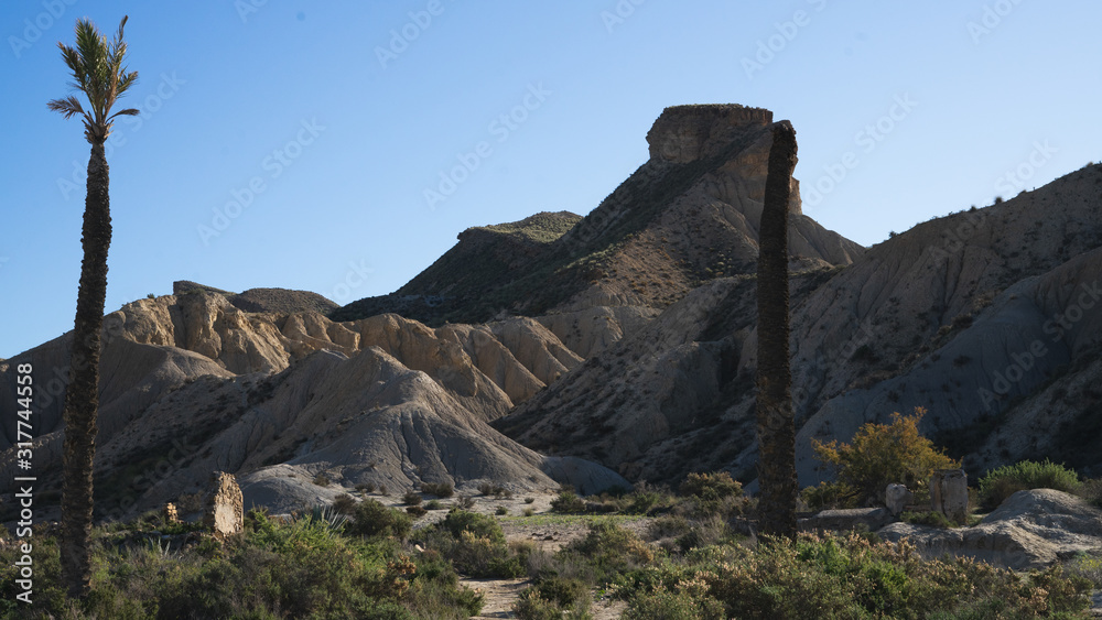 Monte seco en el desierto de Tabernas de la provincia de Almeria Stock ...