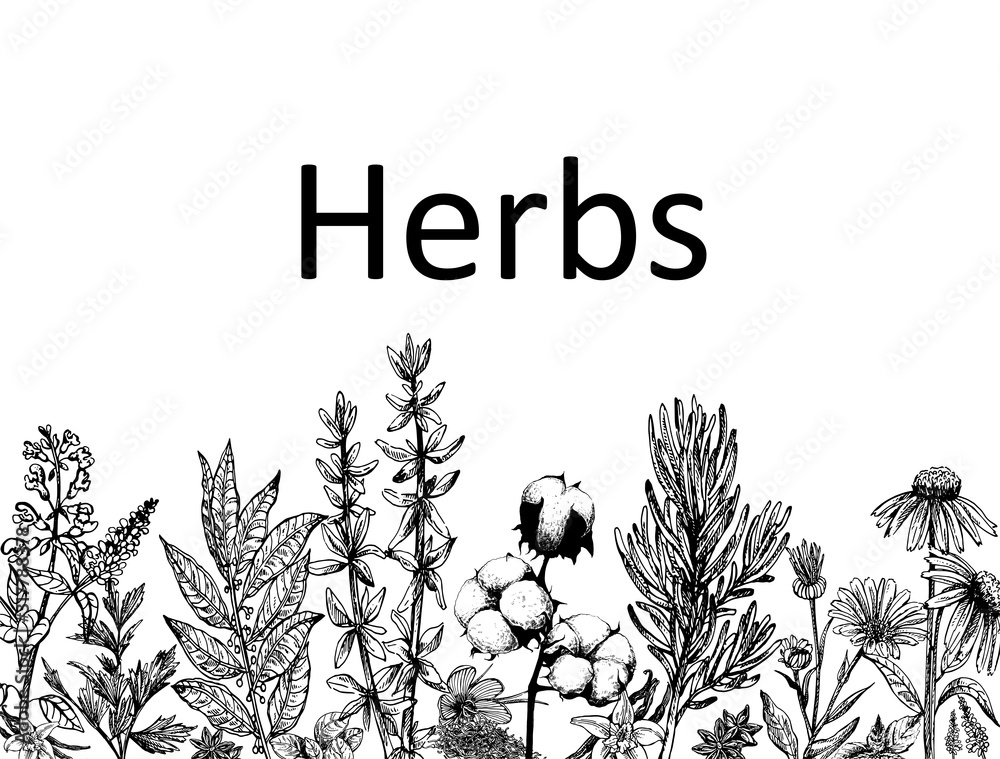 Poster card composition of hand drawn sketch style different kinds of ...