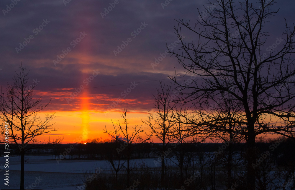 Brilliant sunset with a sun pillar and silhouetted oak trees. Stock ...
