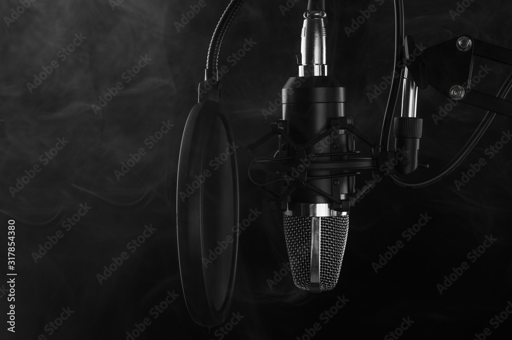 Professional Microphone in Recording Studio, Professional Studio. With ...