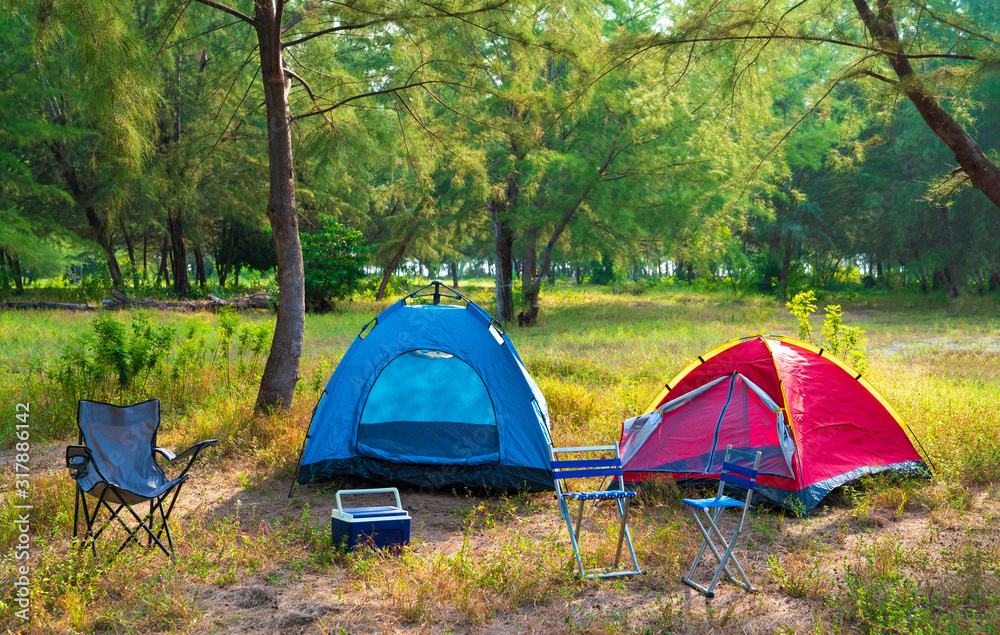 Tents Camping area, early morning with sunshine, beautiful natural ...