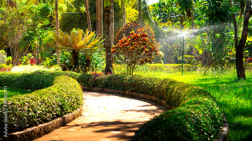 Curved bushes on the road side of the lawn in the front yard. Front ...
