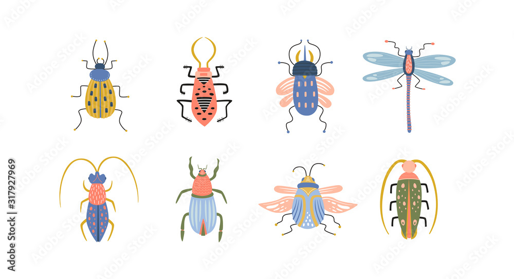 Large collection of multi-colored insects on white isolated background ...