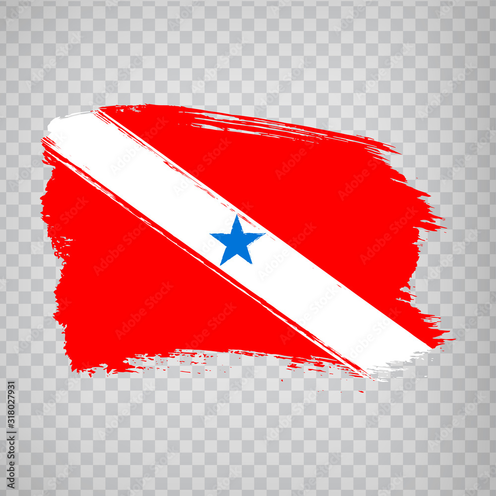 Flag of Para from brush strokes. Federal Republic of Brazil. Flag Para ...
