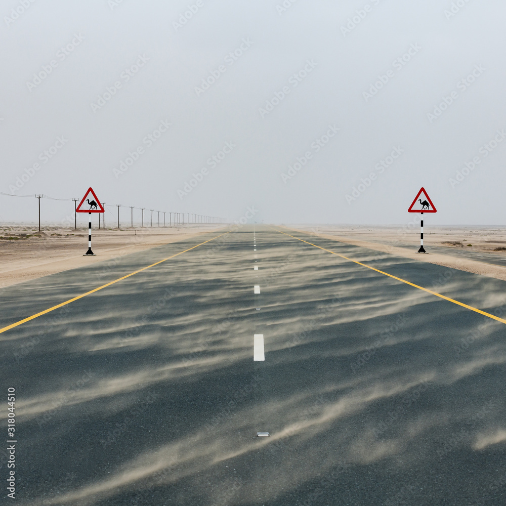 Highway road among desert during sand storm with road signs with camel ...
