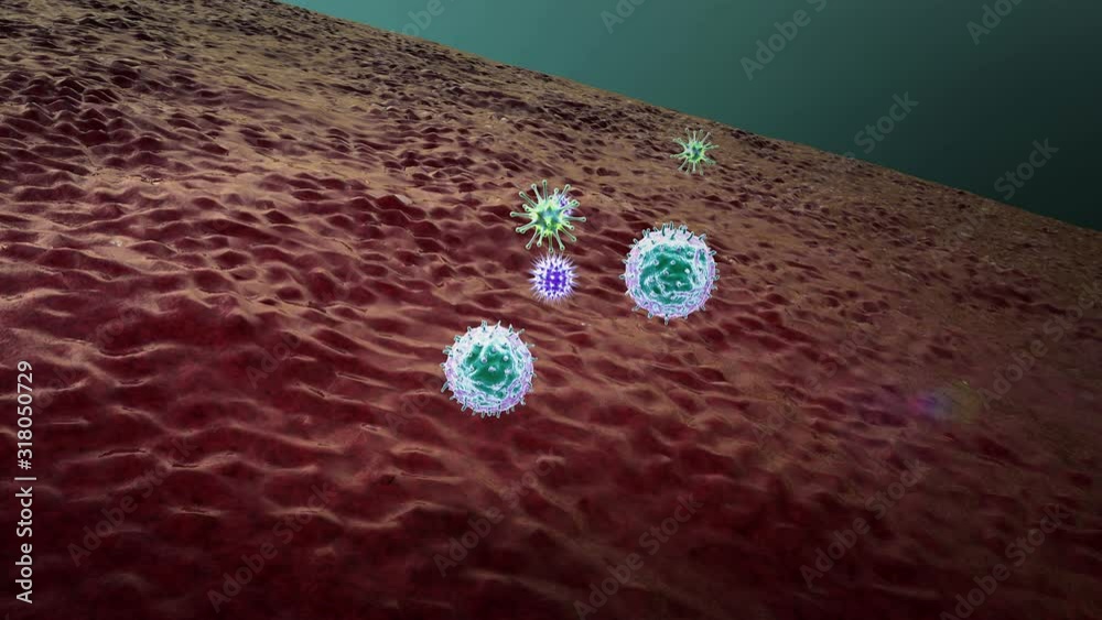 macrophage and virus, macrophage kills the viruses, 3d rendered ...