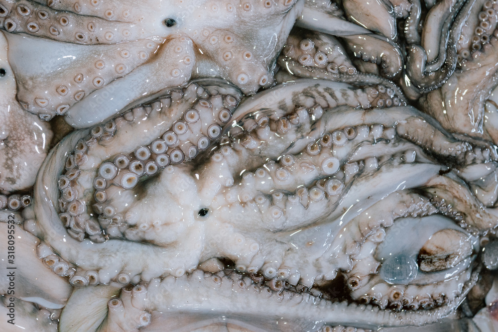 Octopus selling in the fish market in Kedonganan - Passer Ikan ...