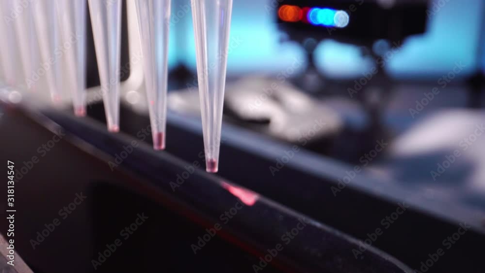 Automated DNA Processor real-time PCR cycler. PCR robotic machine for ...