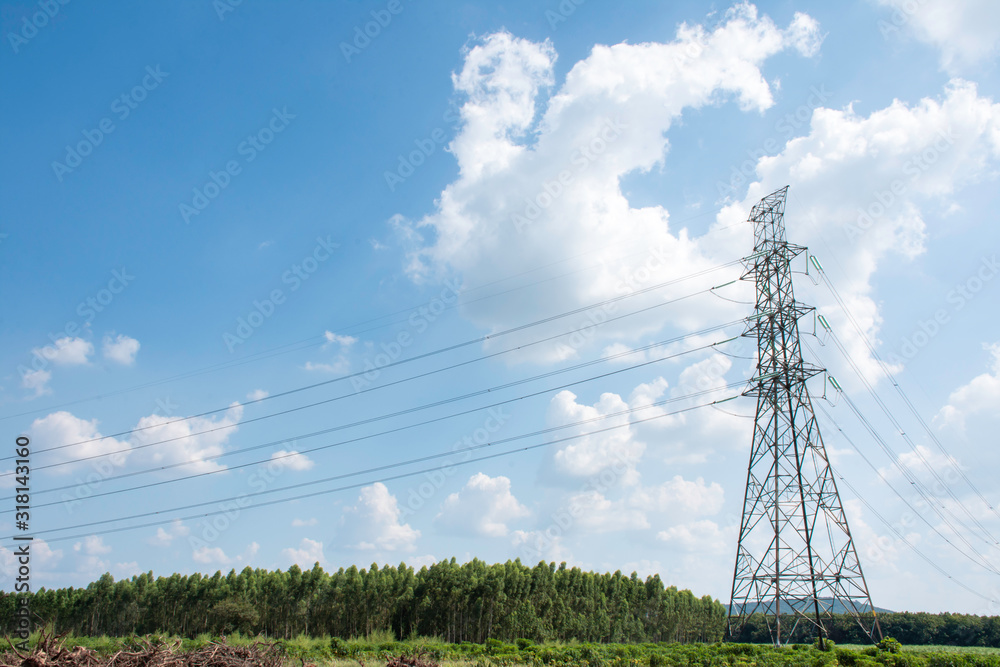 Electricity transmission line with green tree nature, Green ...