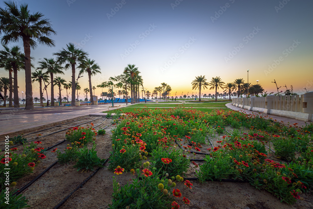 Beautiful flower gardens inside Al khobar park - City : Khobar, Saudi ...