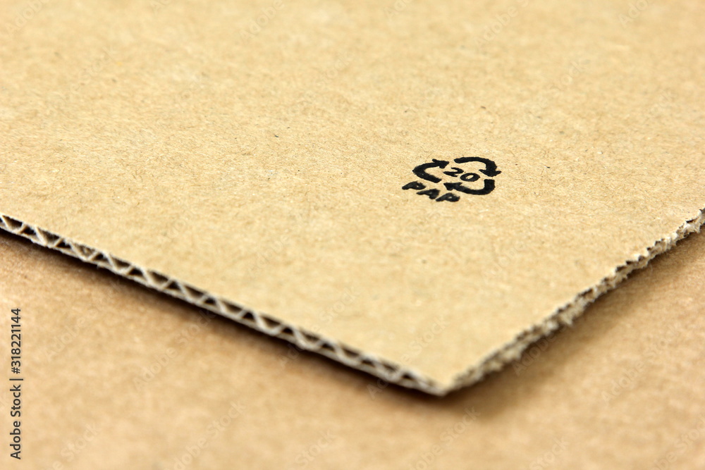 cardboard packaging. PAP 21 logo printed on a cardboard, paper recycle ...