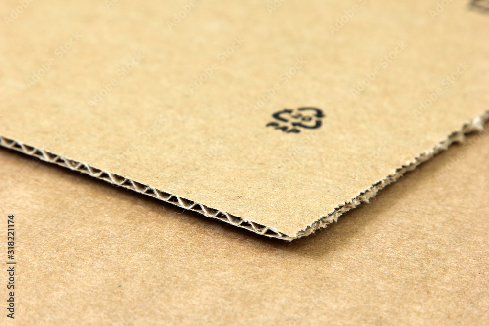 cardboard packaging. PAP 21 logo printed on a cardboard, paper recycle ...