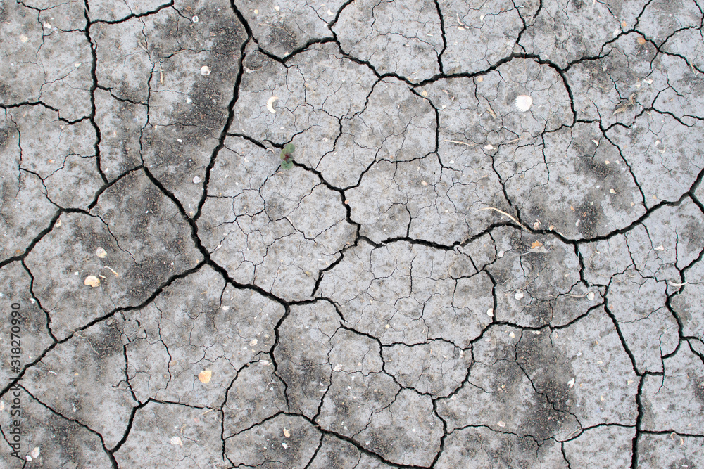 Dry cracked earth top view. Drought season on earth. Shells and dry ...