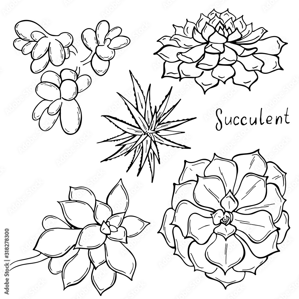 Desert Flowers Coloring Pages