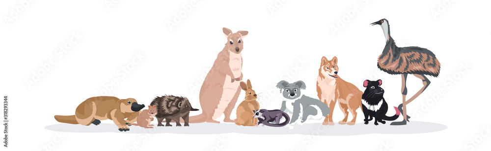 cartoon endangered wild australian animals tasmanian devil echidna ...