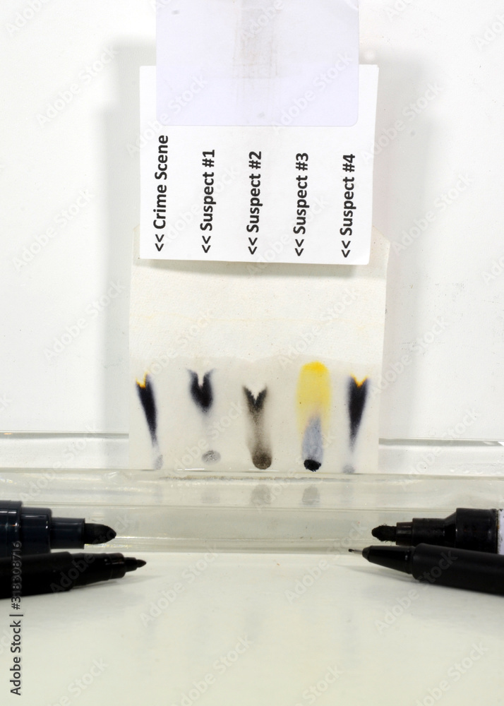 Chromatography of 4 different markers versus a "crime scene" evidence ...