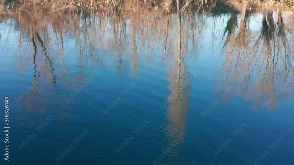 Ripples on the still surface of water, reflecting bare willow and other ...