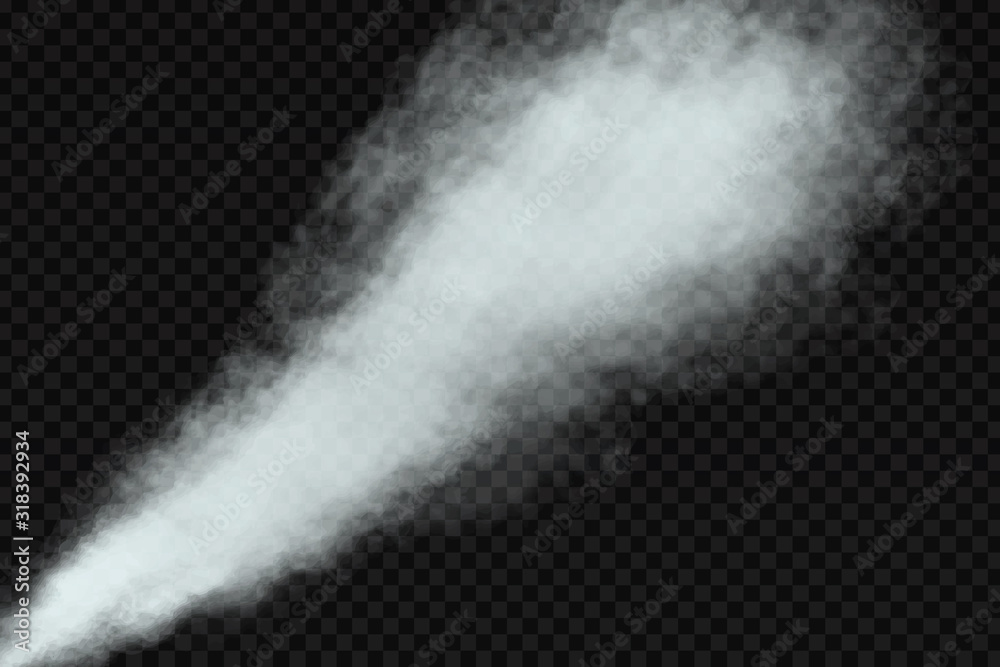 Vector realistic isolated smoke effect for decoration and covering on ...