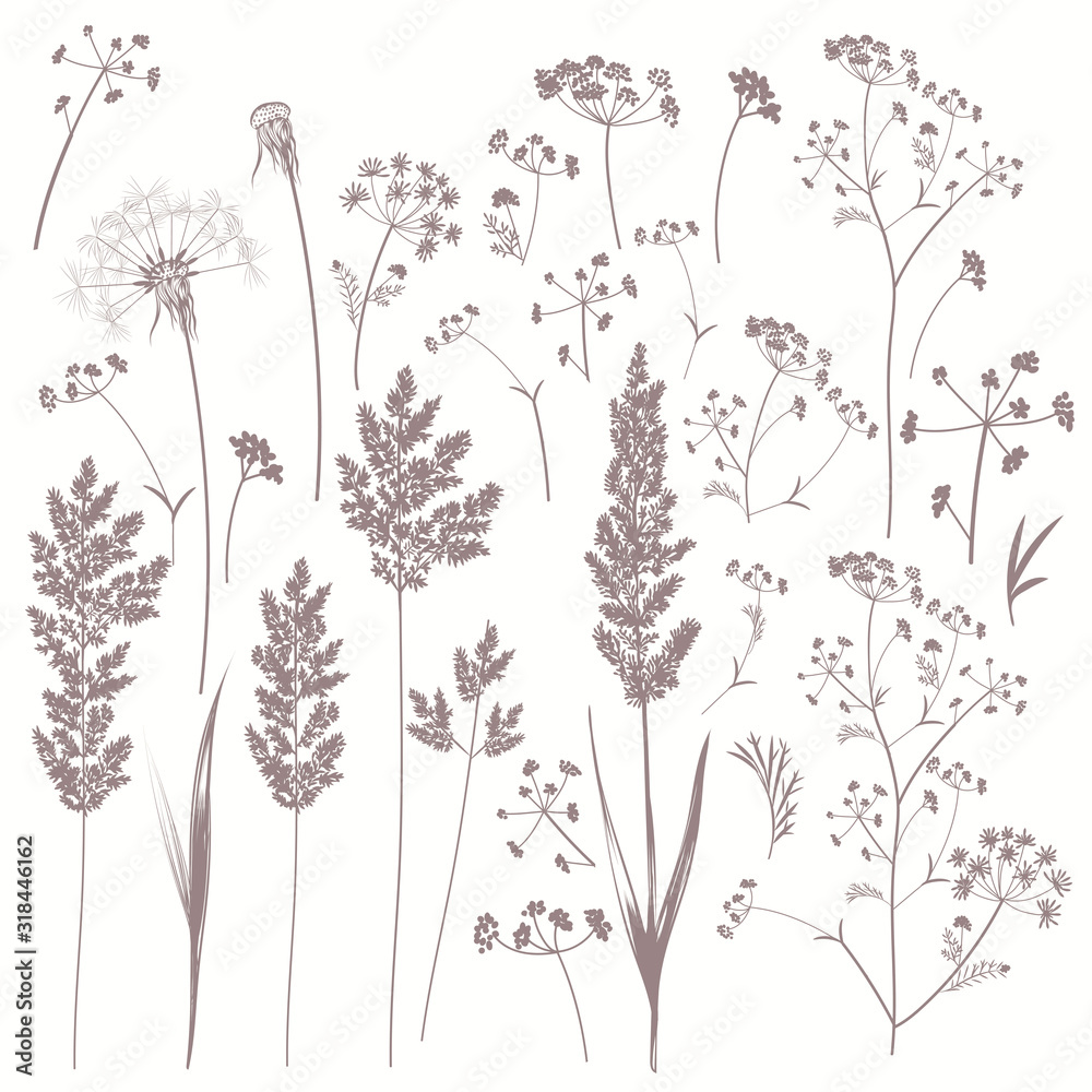 Collection of vector field plants in vintage style Stock Vector | Adobe ...