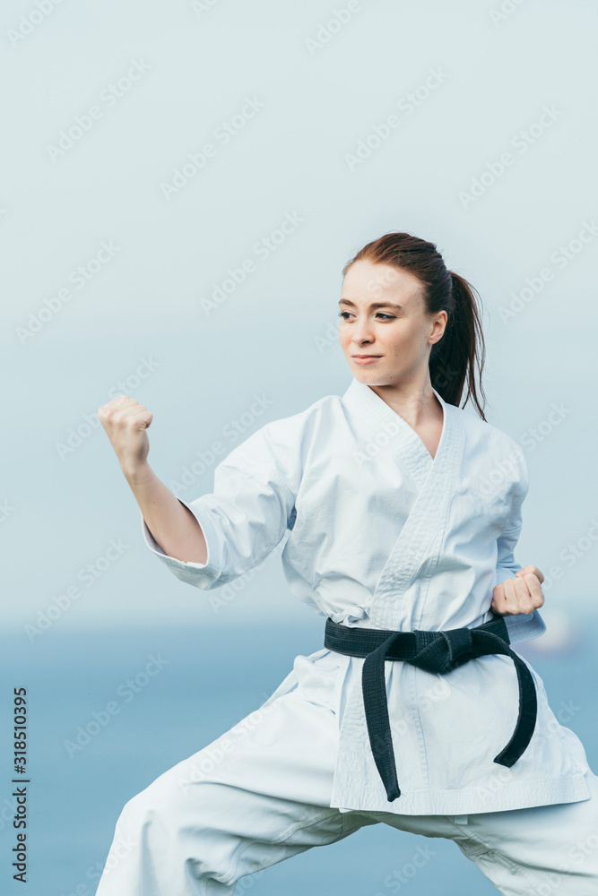 Karate Attack