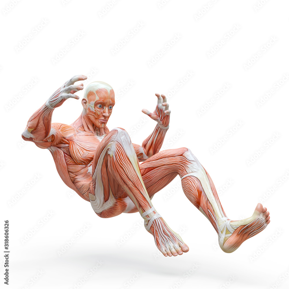 Falling Pose Drawing