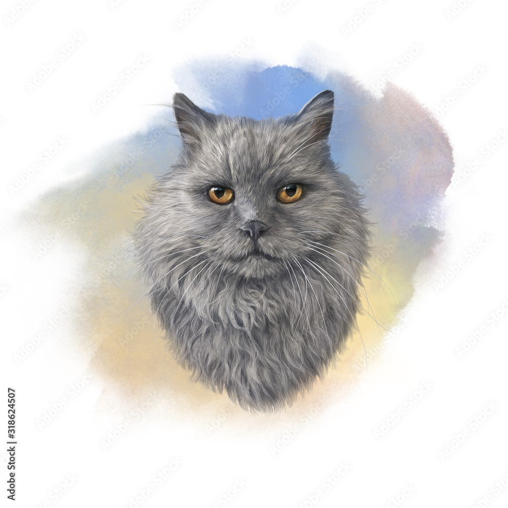 Cute fluffy grey cat on watercolor background. Realistic portrait of ...
