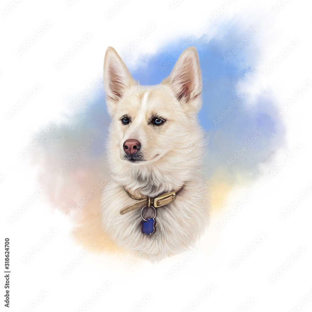 Portrait of White Jindo Dog with blue eyes on watercolor background ...