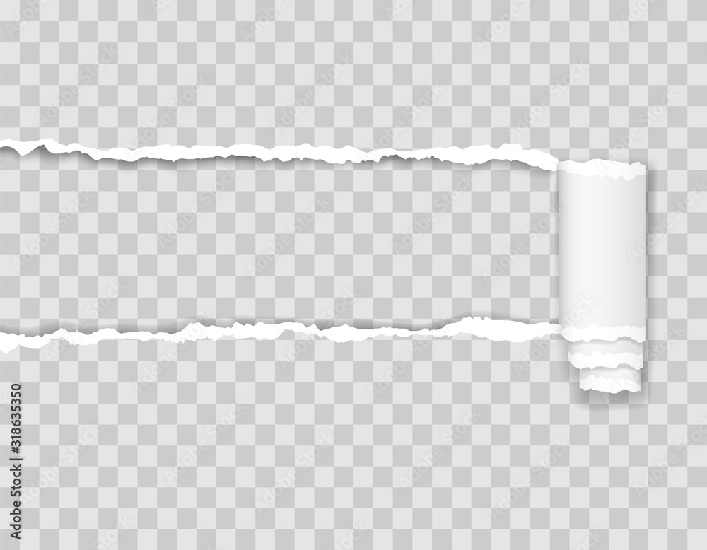 torn paper edge vector illustration Stock Vector | Adobe Stock