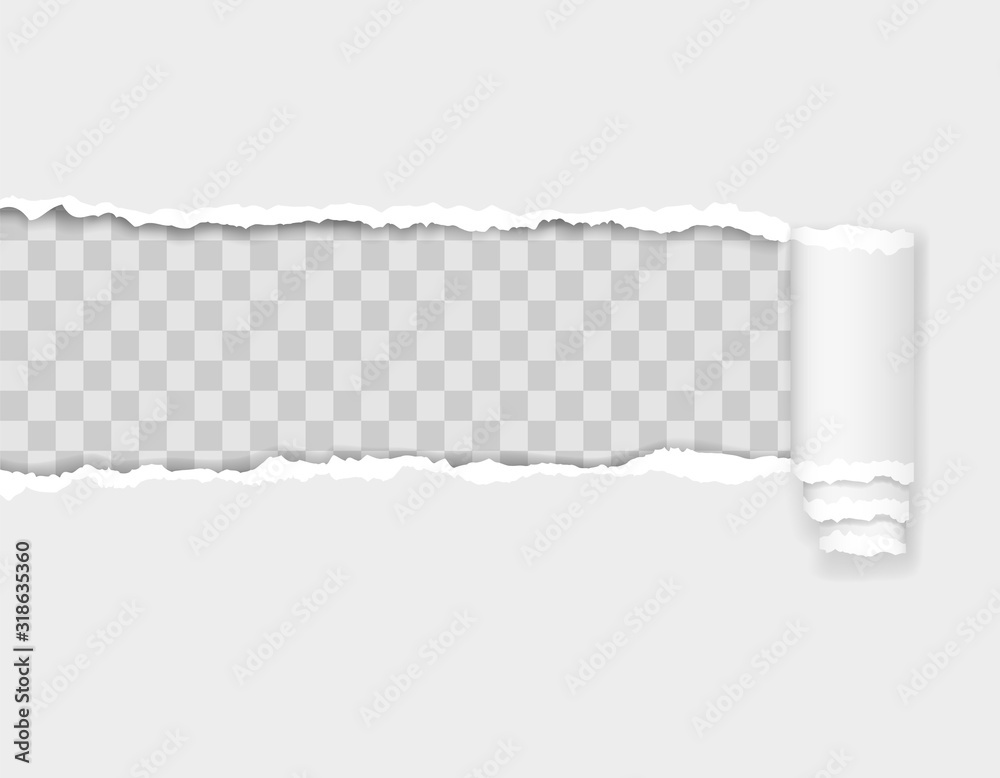 torn paper edge vector illustration Stock Vector | Adobe Stock