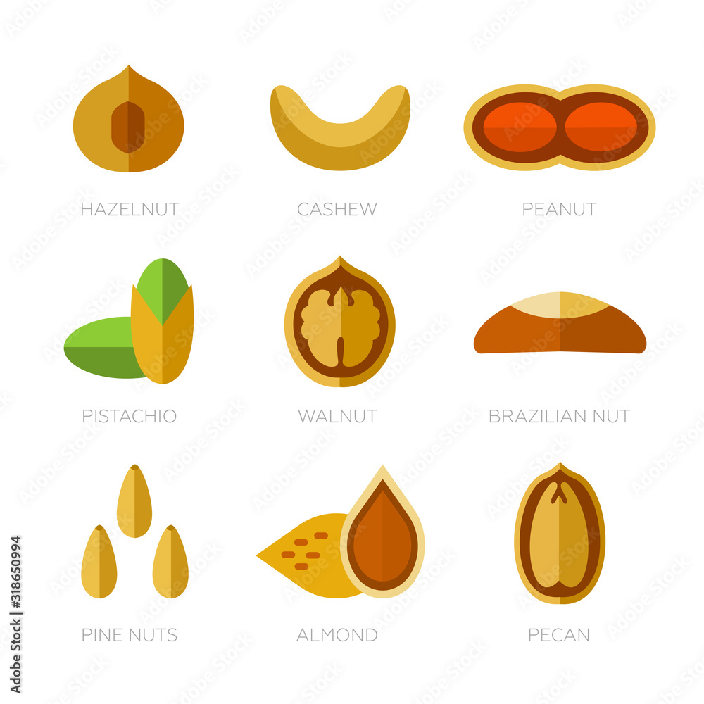 Collection of nuts in flat style. Set of nine nuts. Vector illustration ...