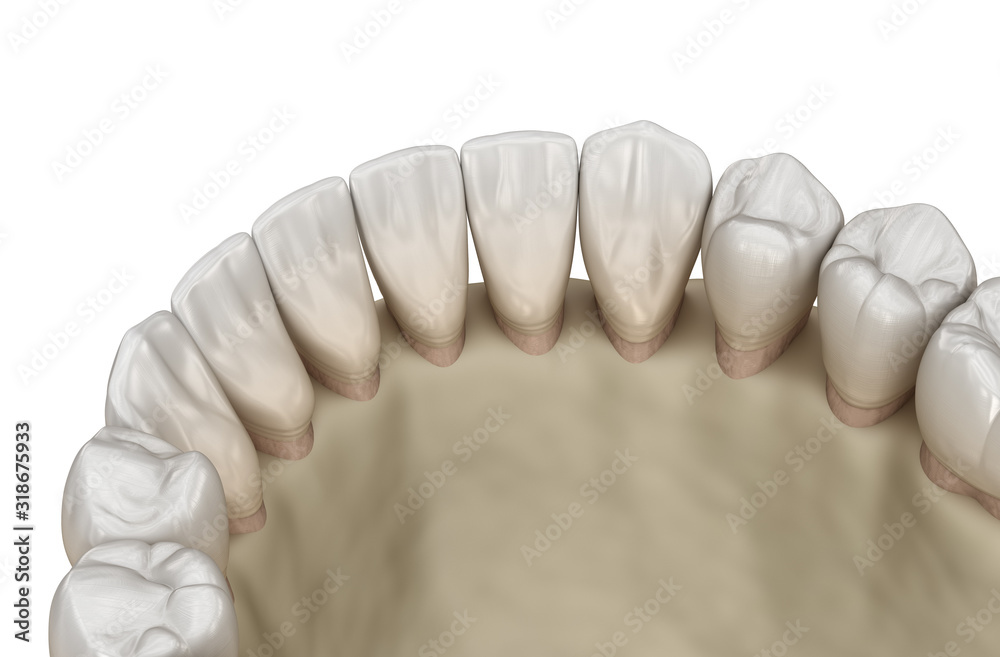 Mandibular jaw bone and teeth anatomy. 3D illustration concept of human ...
