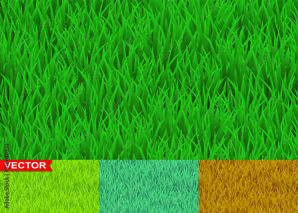 Green and savanna grass texture background. Nature meadow or field ...