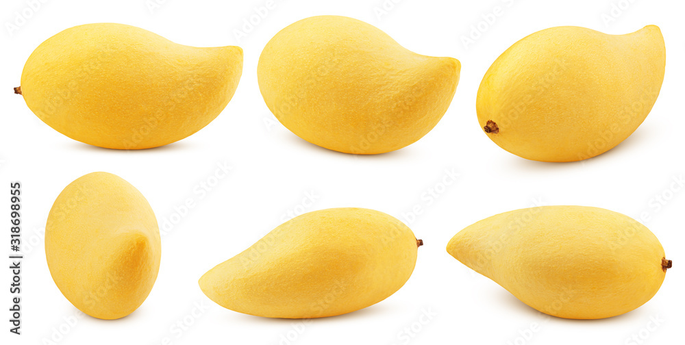 yellow mango isolated on white background, clipping path, full depth of ...
