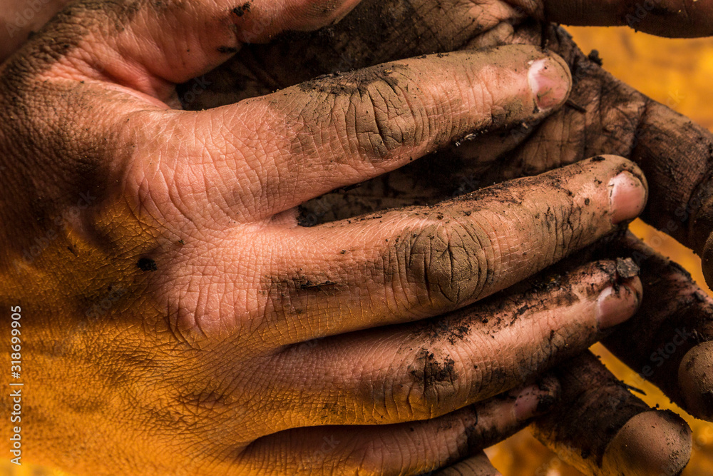 Muddy hands after planting a tree Stock Photo | Adobe Stock