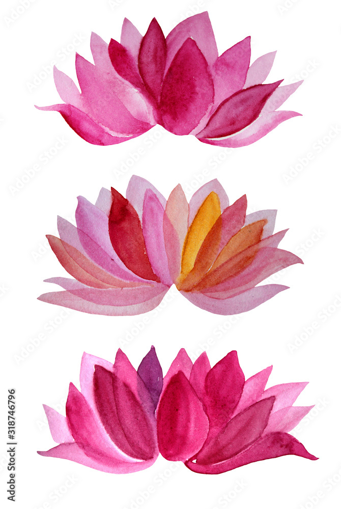Set watercolor hand-drawn pink flower lotus isolated on white ...