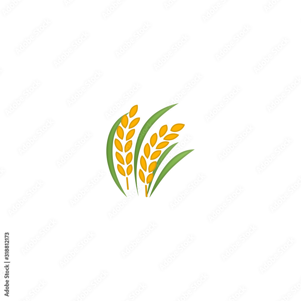 Sheaf of Rice Vector Icon. Isolated Ear of Rice Realistic Illustration ...