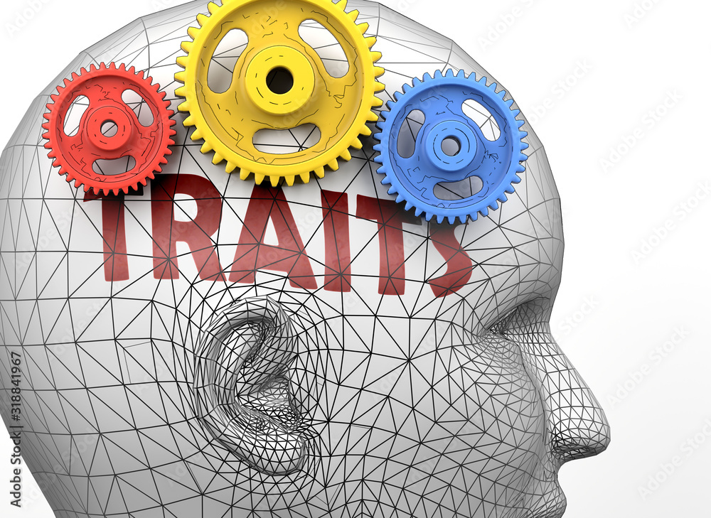 Traits and human mind - pictured as word Traits inside a head to ...