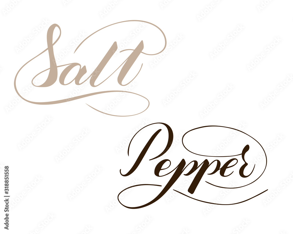 Vector hand written salt and pepper text isolated on white background ...